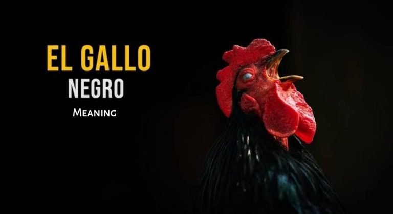 El Gallo Negro Meaning