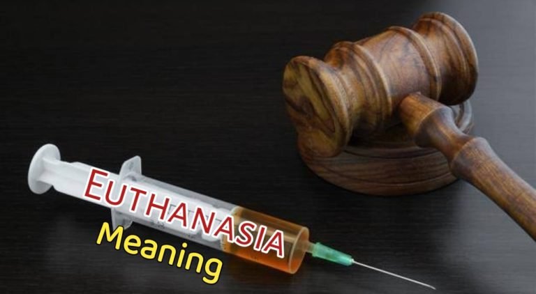 Euthanasia Meaning