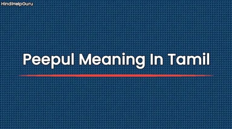 Peepul Meaning In Tamil | தமிழில் அர்த்தம்