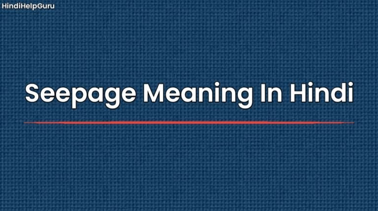 Seepage Meaning In Hindi | सीपेज मीनिंग इन हिंदी