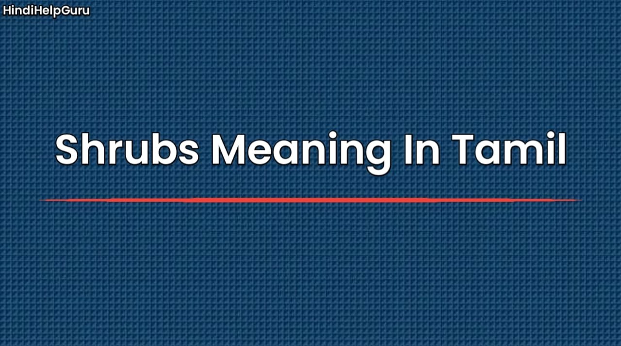Shrubs Meaning In Tamil 